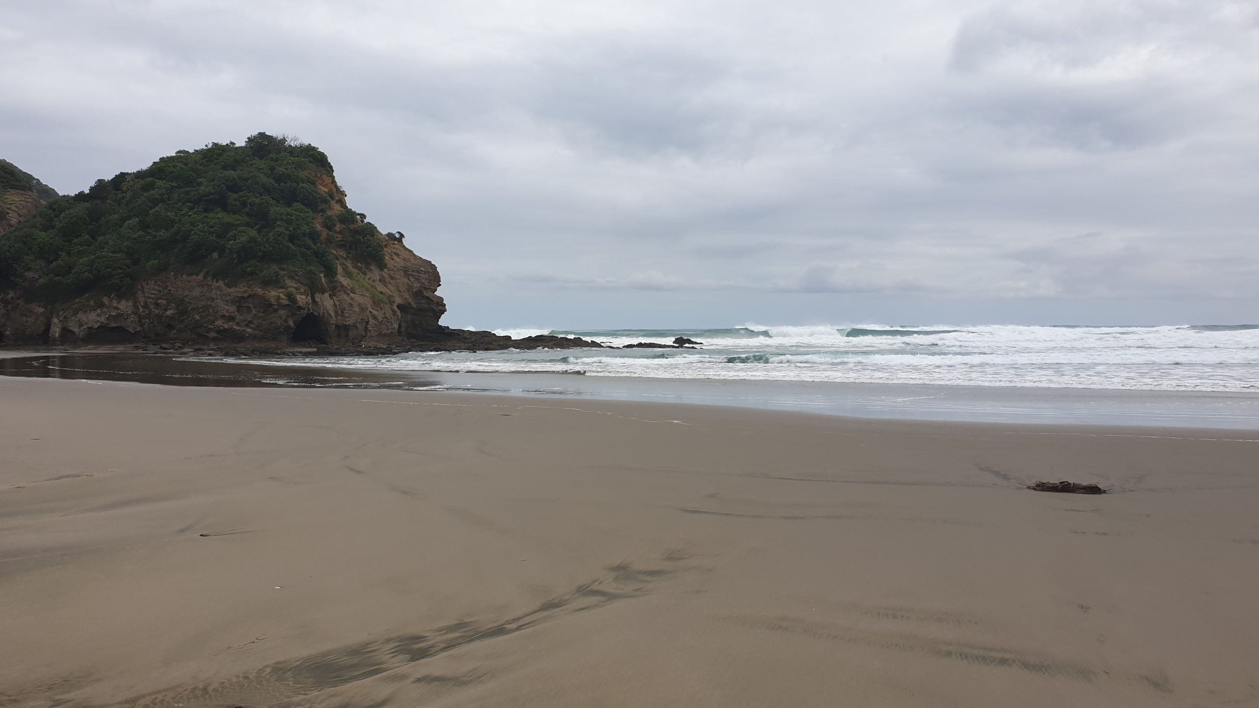 Quick Guide to the Te Henga Walkway « Travel the Gap